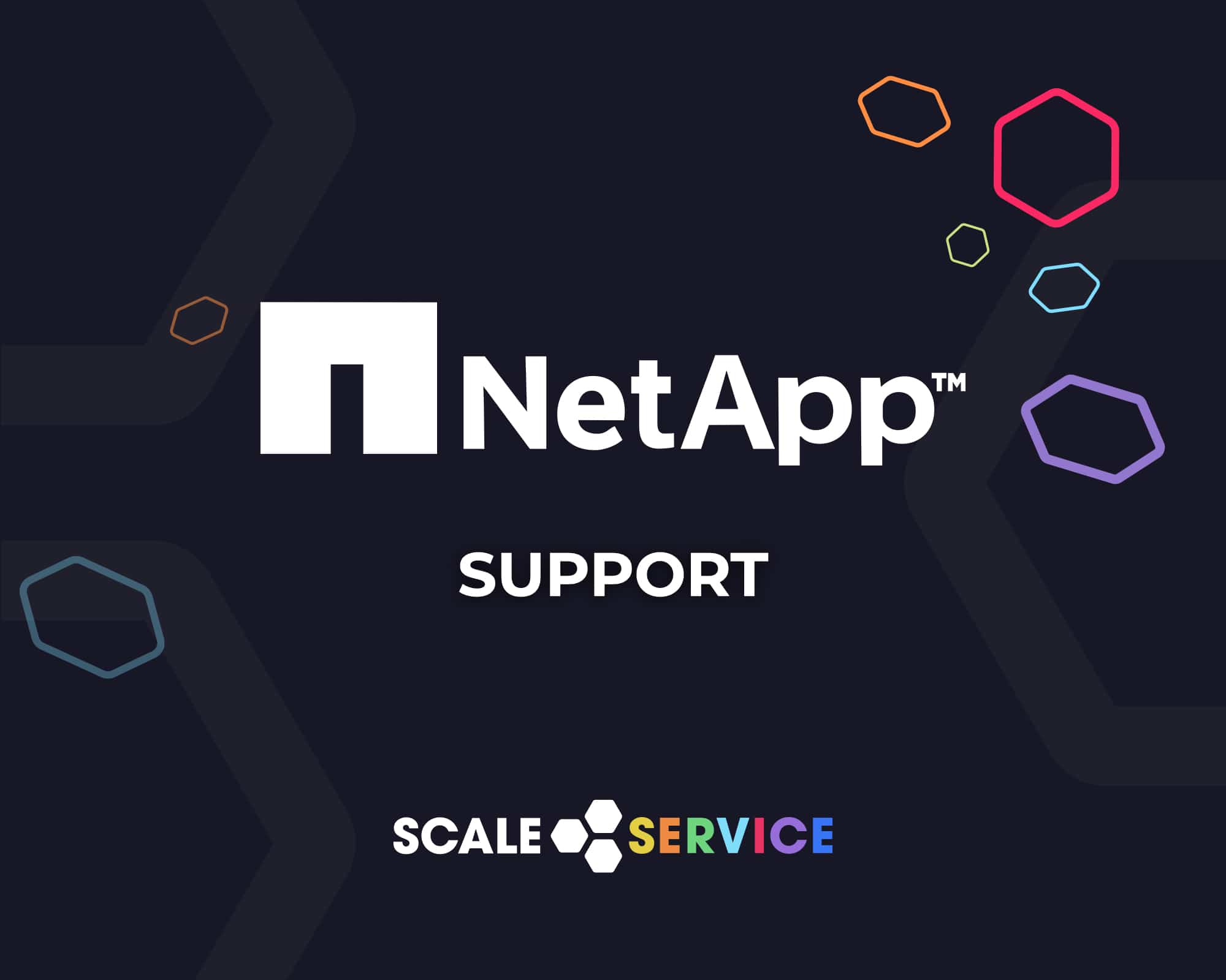 NetApp Support - Scale Service | Enterprise IT Support